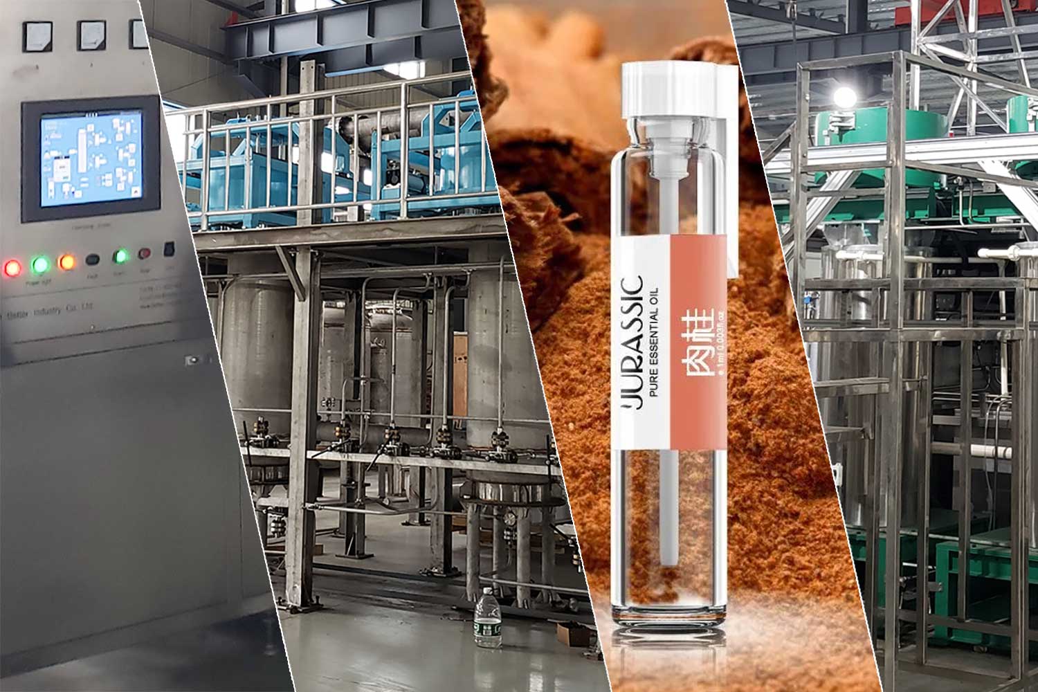 Supercritical CO2 Extraction of Cinnamon Essential Oil