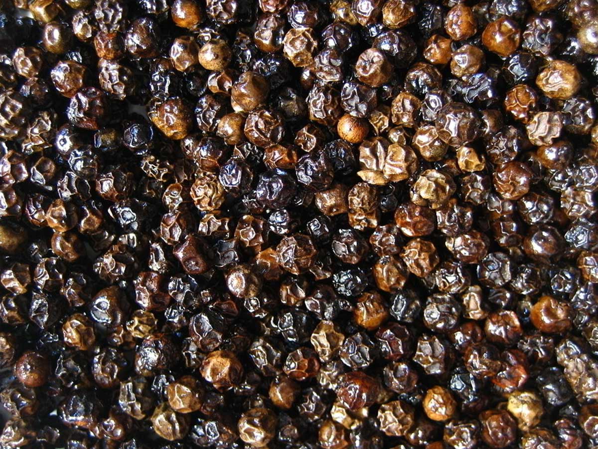 CO2 Extraction of Black pepper Oil - Beginner's Guide 2023