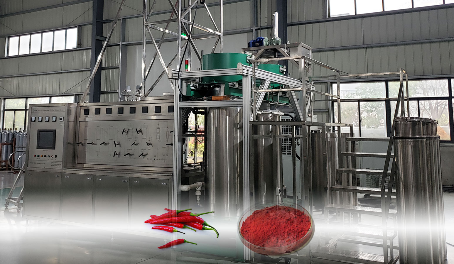 CO2 Fluid Extraction of Chili Red Pigment and Capsaicin