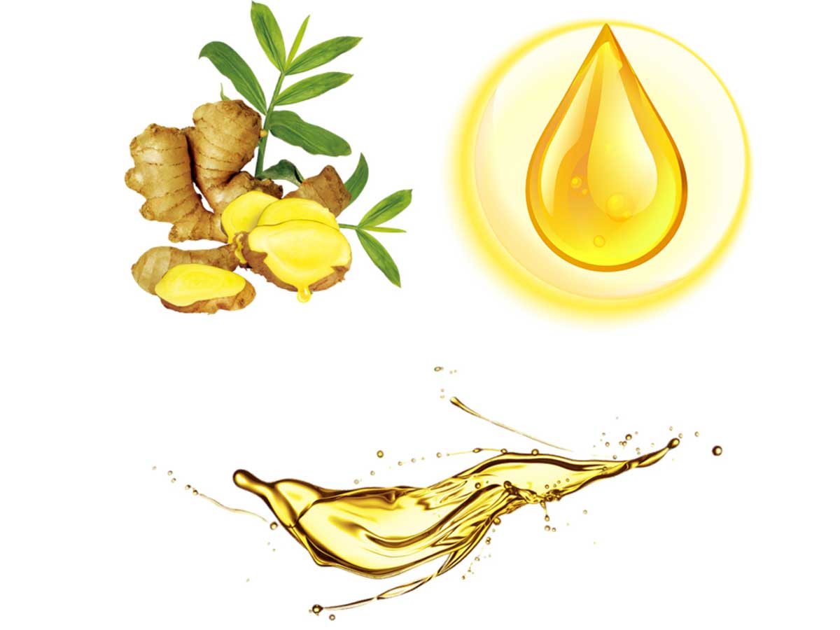 5 Important Factors for CO2 Extraction of Ginger Oil