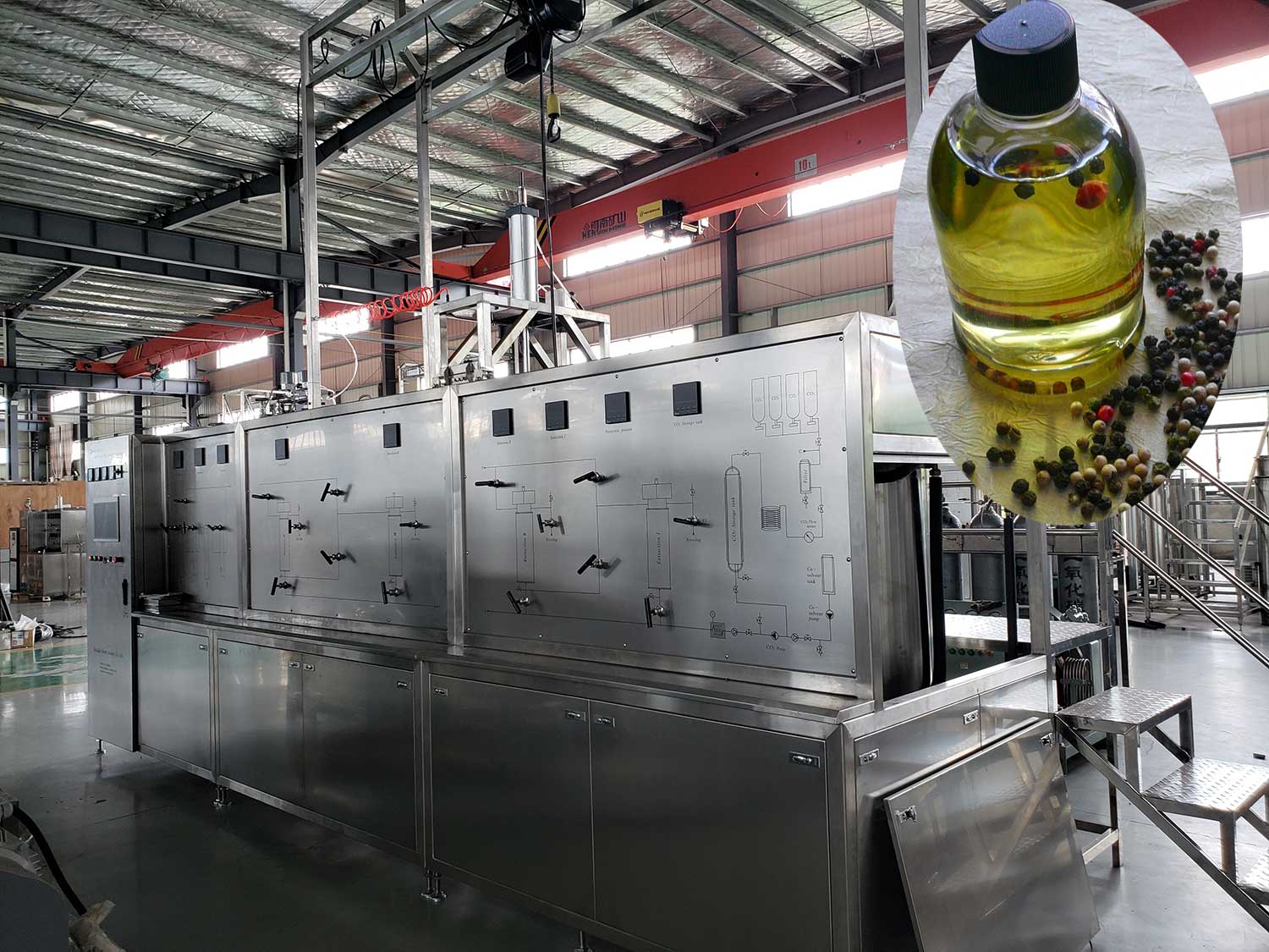 An Ultimate Guide on Pepper Oil CO2 Extraction Process