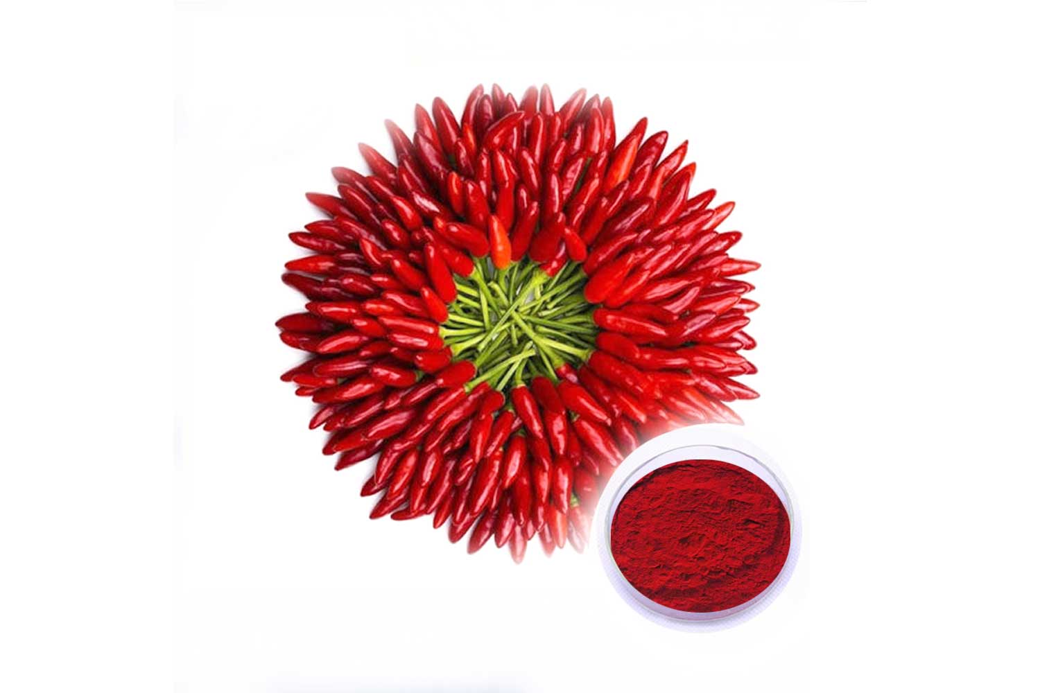 CO2 Fluid Extraction of Chili Red Pigment and Capsaicin
