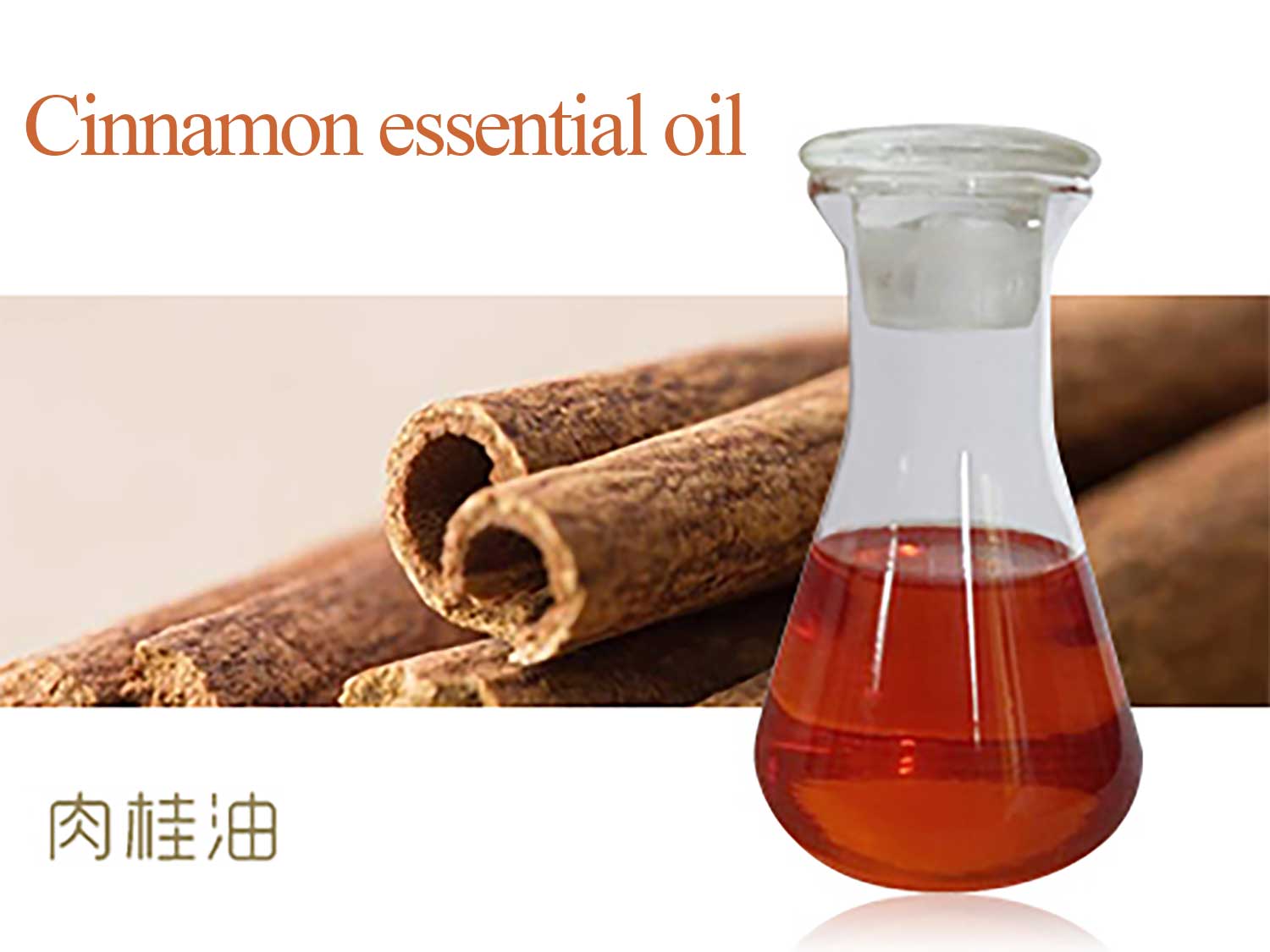 100% natural cinnamon oil by supercritical CO2 extraction